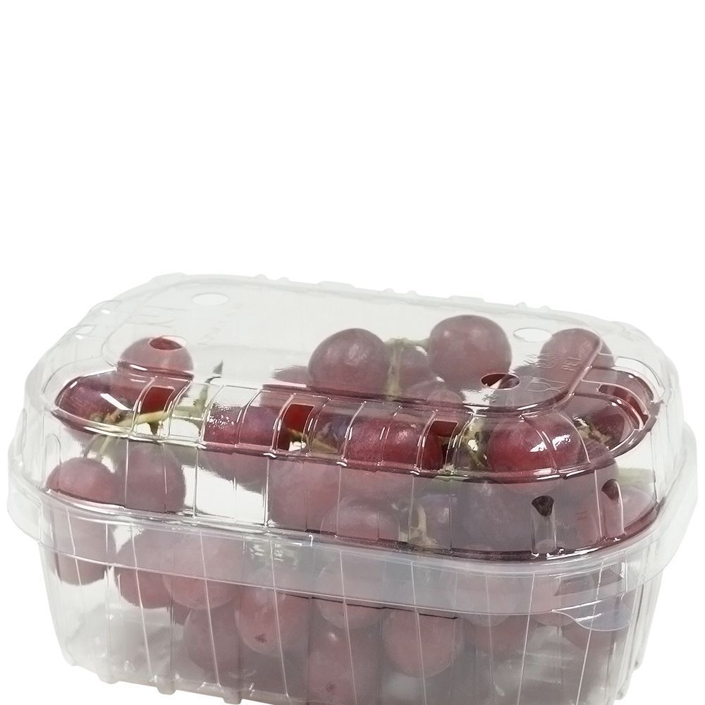 Transparent lid for 500ml / 0,5L box for berries - Packforce