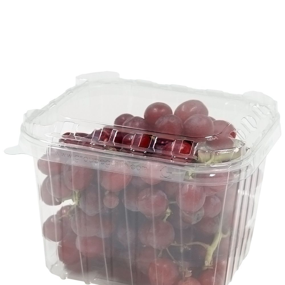 Transparent lid for 1500ml / 1,5L box for berries - Pakendikeskus